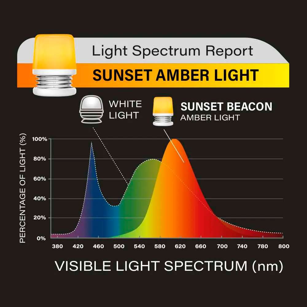 SUNSET BEACON AMBER LIGHT - Supervivir